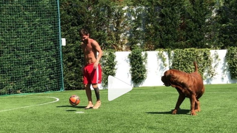 Messi vuelve loco a su perro jugando al fútbol